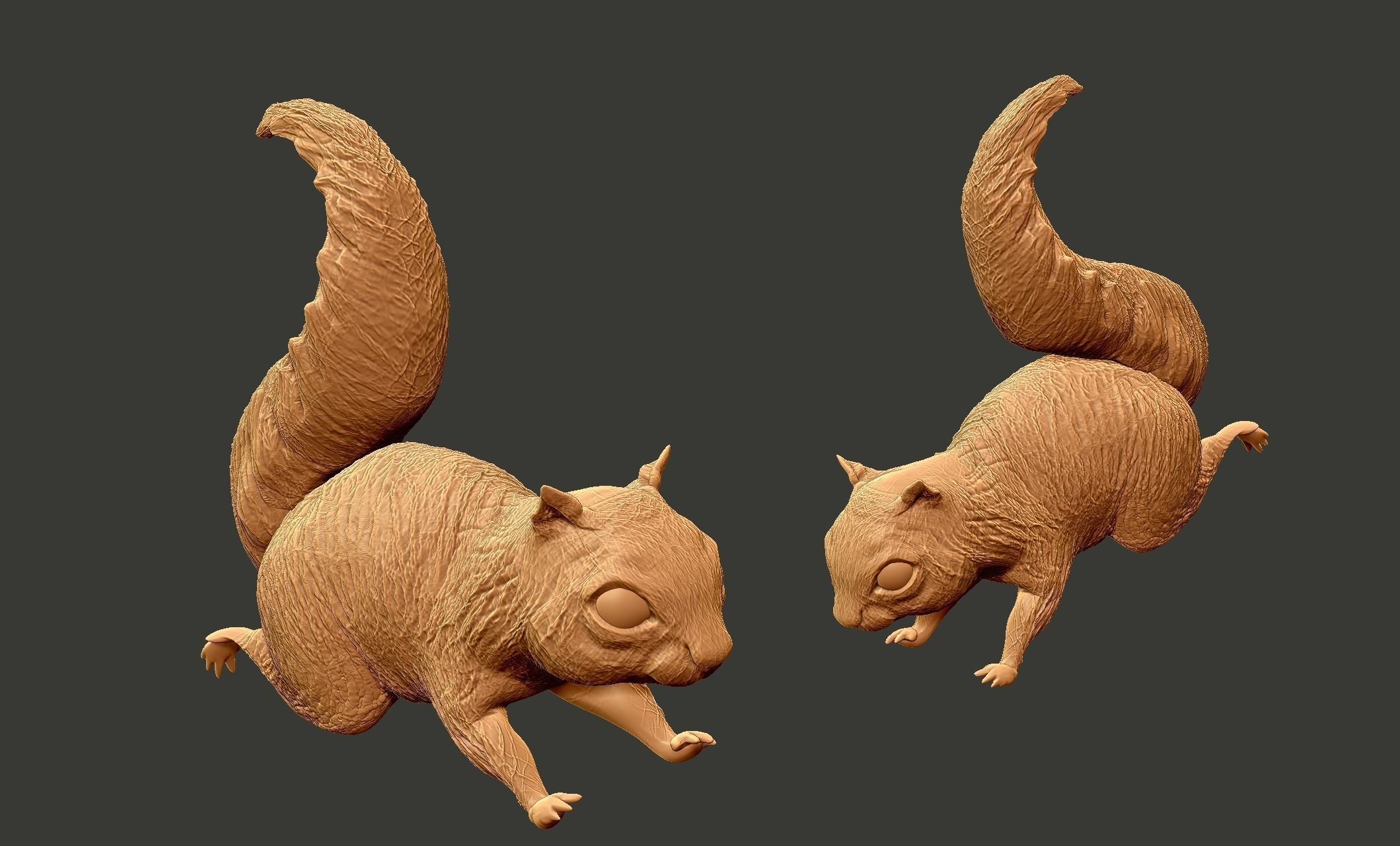 squirrel 3D model 3D printable | CGTrader