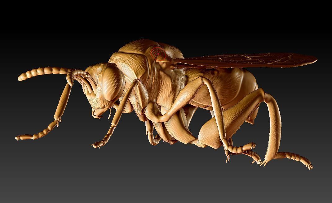 Honey bee 3D model 3D printable | CGTrader