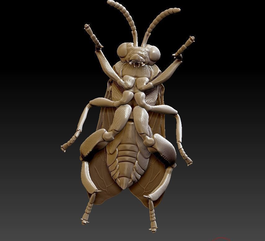 Honey bee 3D model 3D printable | CGTrader