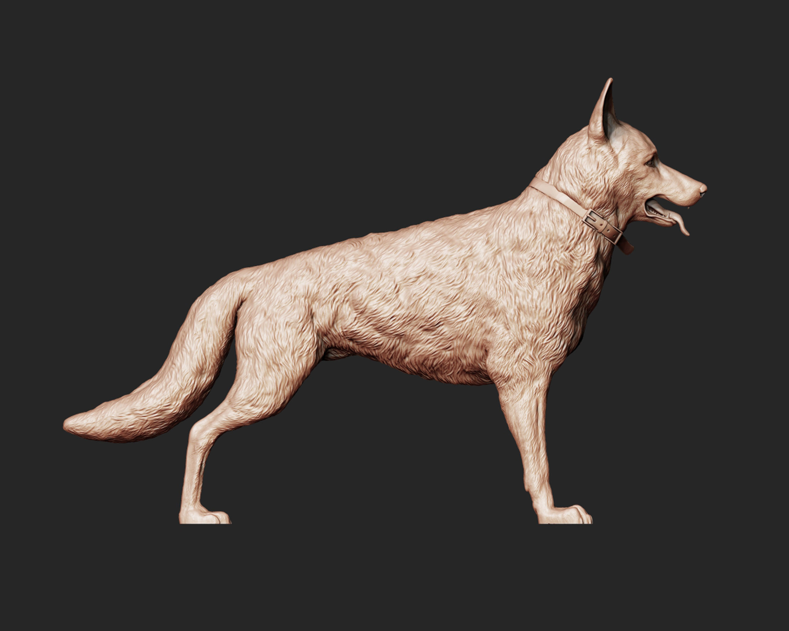 German Shepherd model 3D model 3D printable | CGTrader