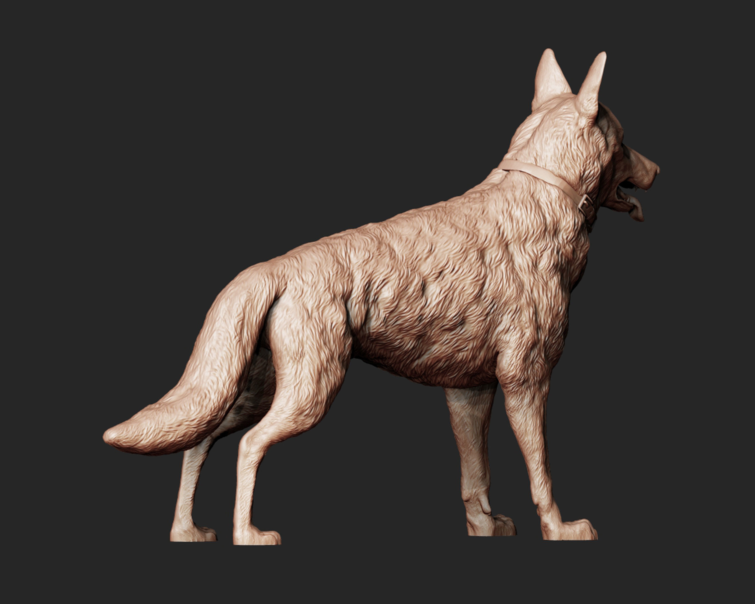 German Shepherd model 3D model 3D printable | CGTrader