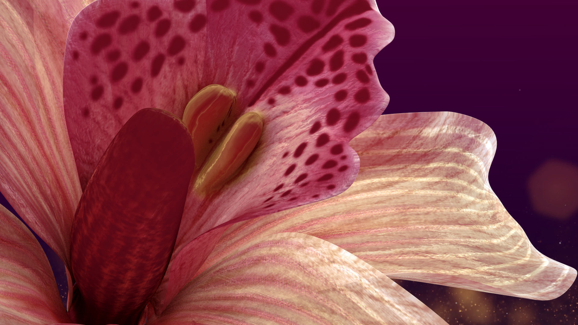 Beautiful Animated Orchid Flower 3D model 3D model animated rigged ...