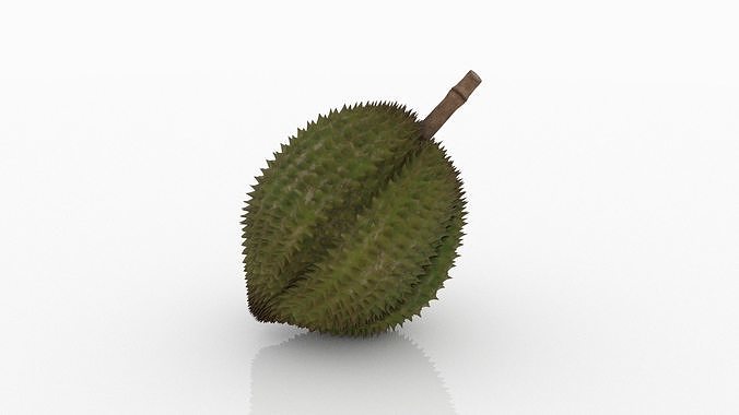 Durian 3D model | CGTrader