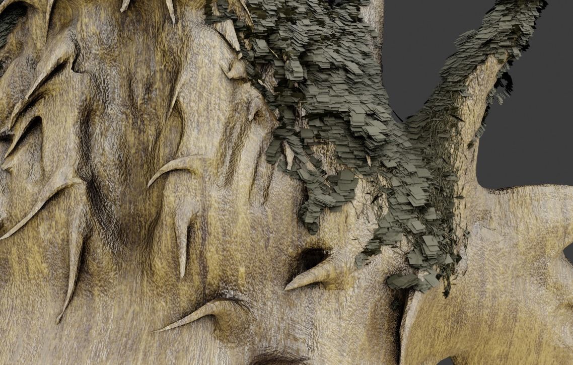 3D model Ent tree free VR / AR / low-poly 3D model | CGTrader