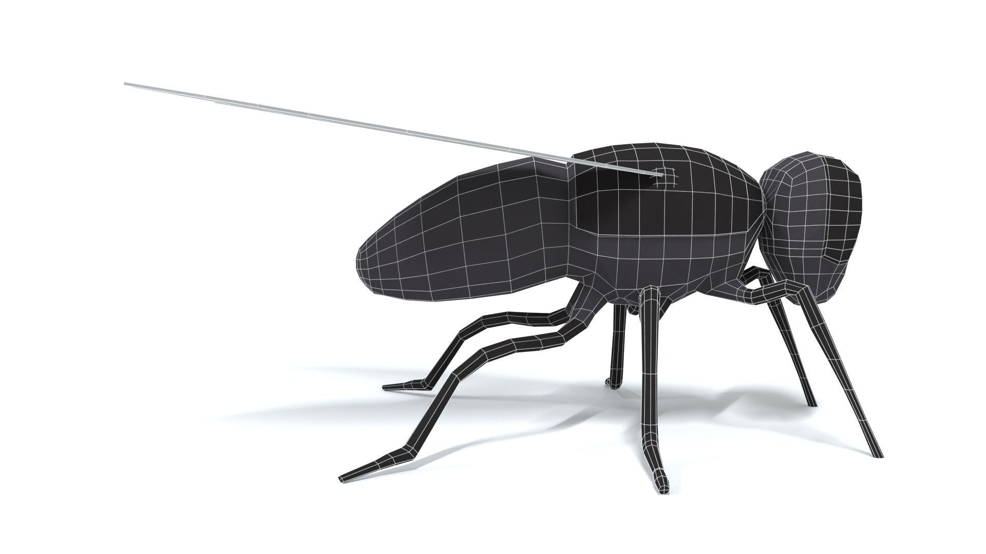 3D model Low Poly Cartoon Fly VR / AR / low-poly | CGTrader