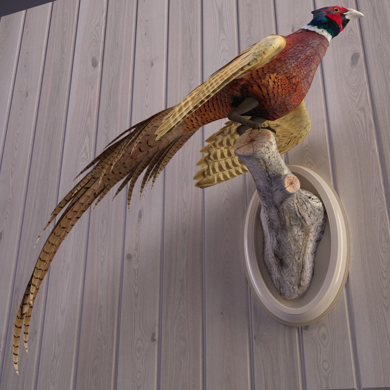 PHEASANT HUNTING 3D model | CGTrader