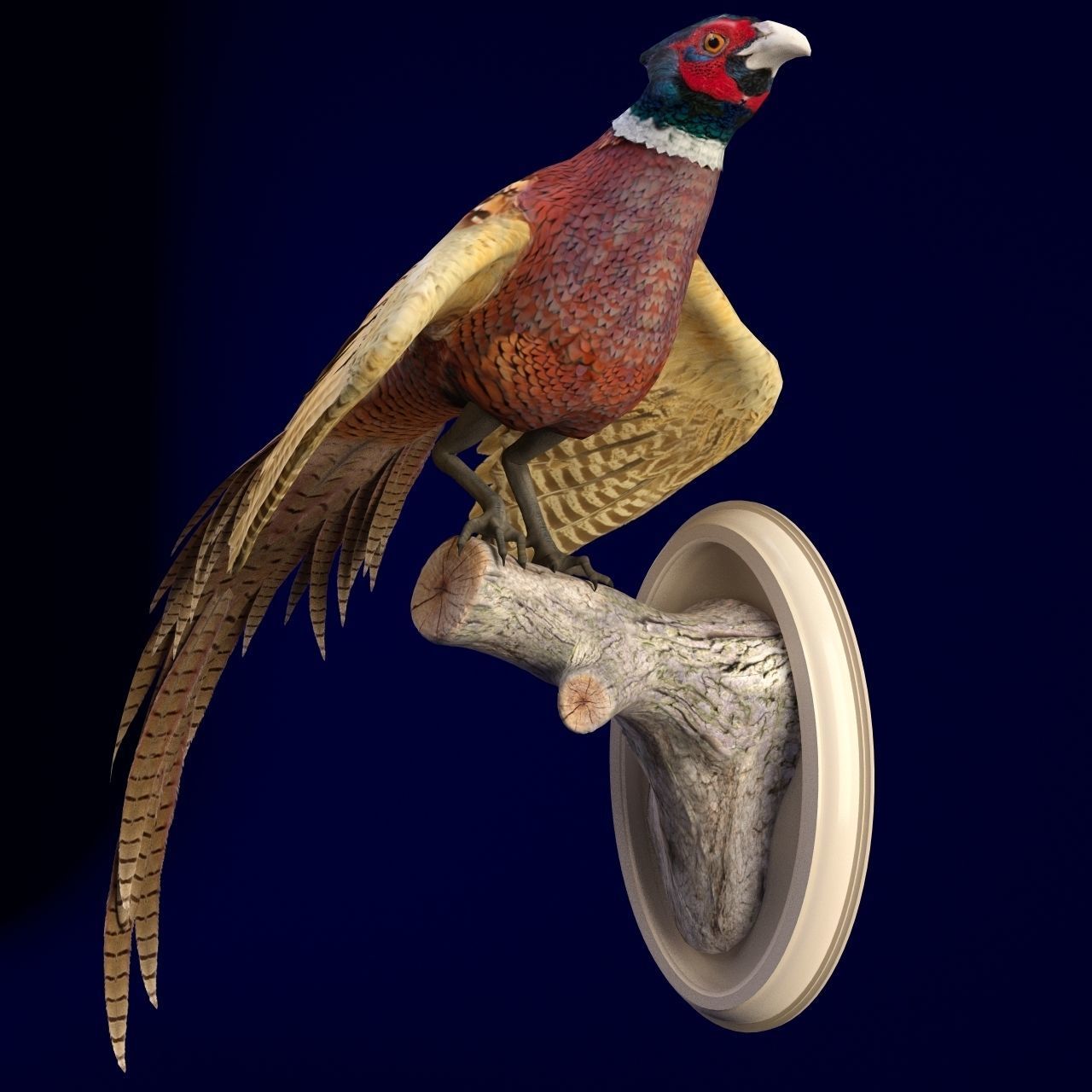 PHEASANT HUNTING 3D model | CGTrader