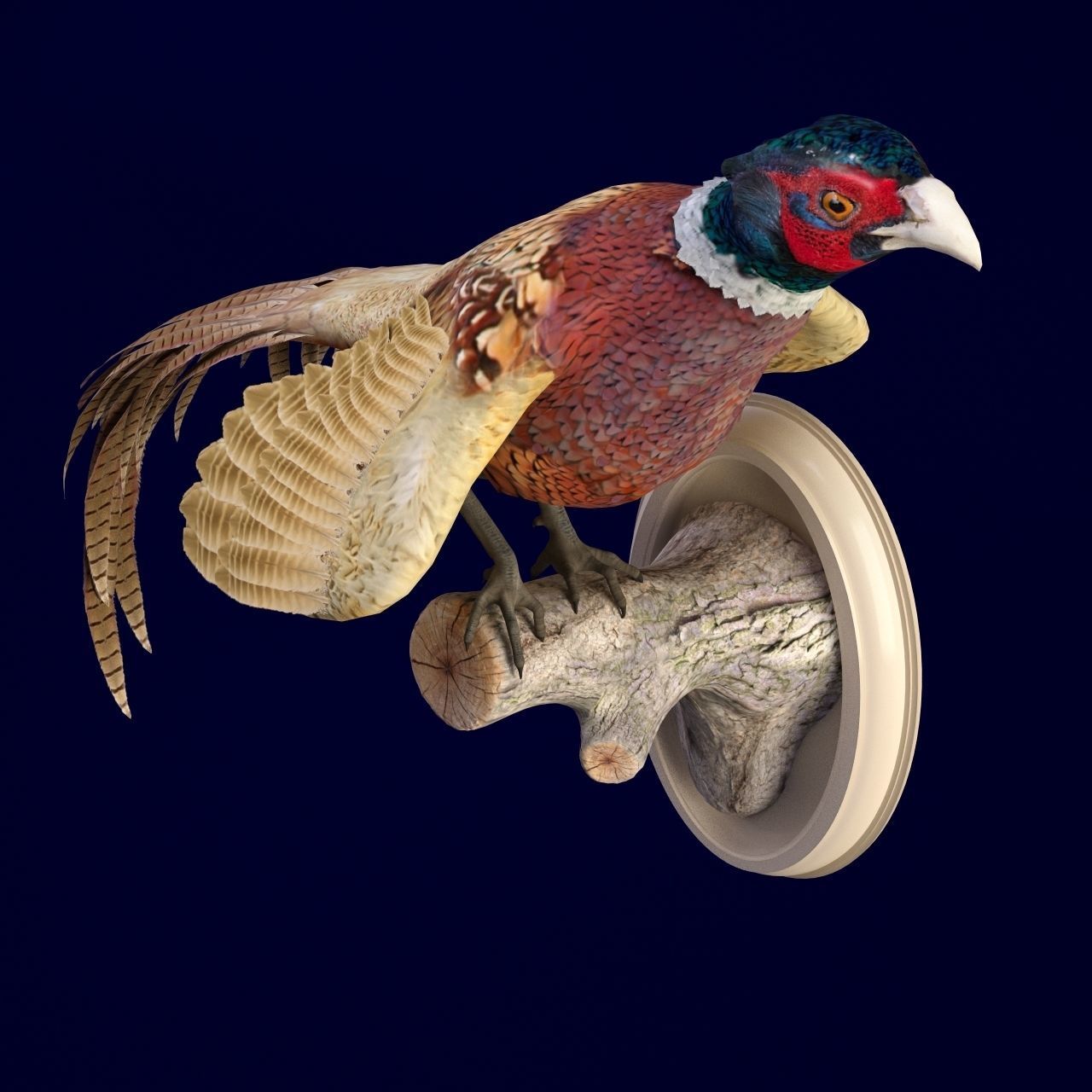 PHEASANT HUNTING 3D model | CGTrader