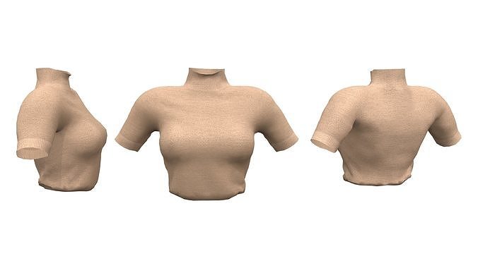 3D model Ladies Mock-Neck Top Tucked VR / AR / low-poly | CGTrader