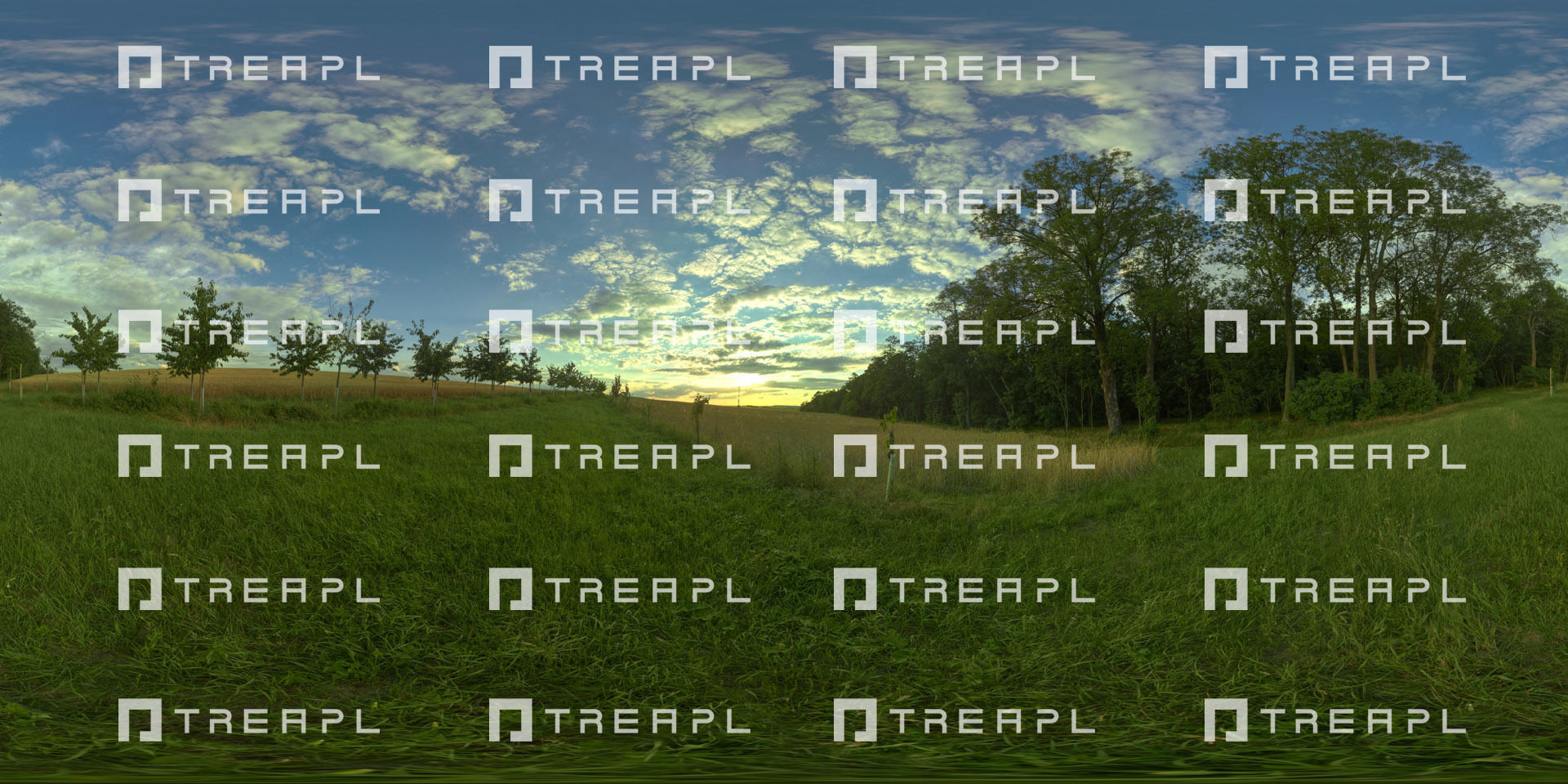10X HDRI SKIES TREAPL ATMOSPHERE VOL01 - BUNDLE - 360 SKIES Texture ...