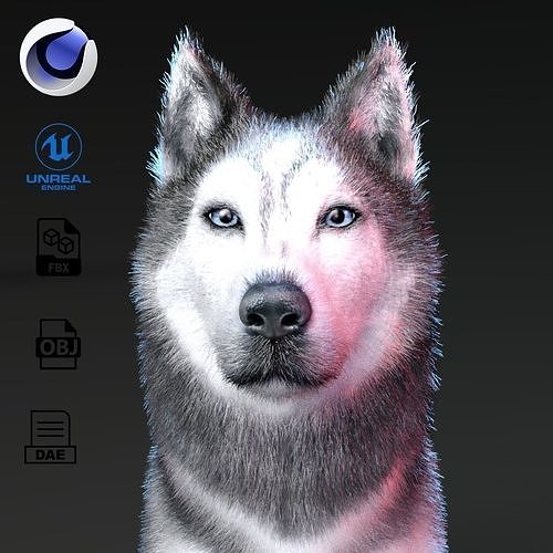 3D model Photo realistic looking Dog VR / AR / low-poly | CGTrader