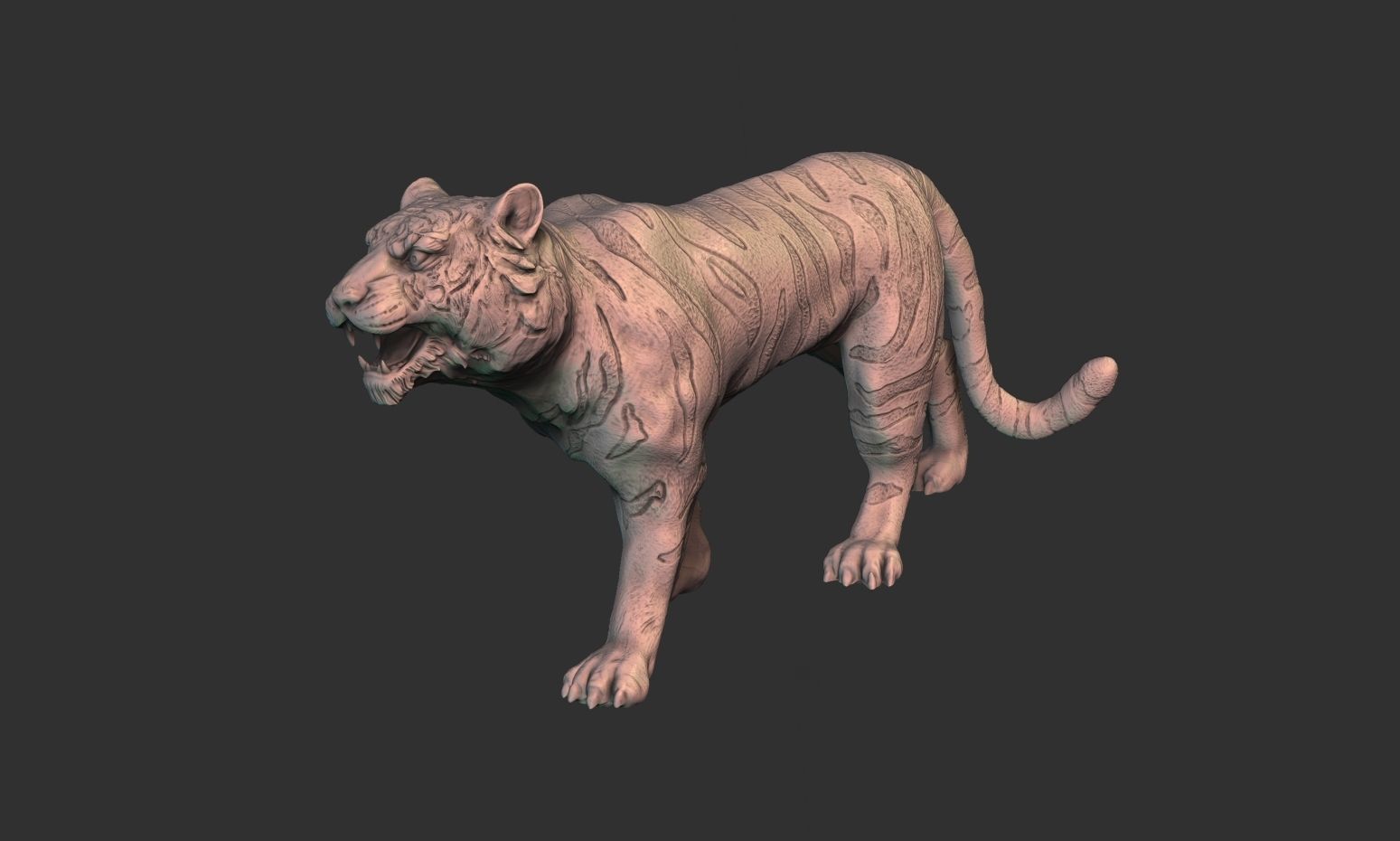 High Poly tiger printable Pack 3D model 3D model 3D printable | CGTrader