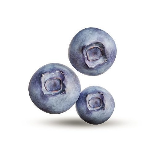 3D model Blueberry three blueberries VR / AR / low-poly | CGTrader