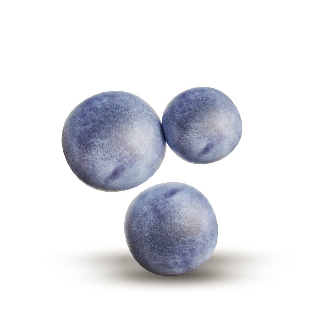 3D model Blueberry three blueberries VR / AR / low-poly | CGTrader