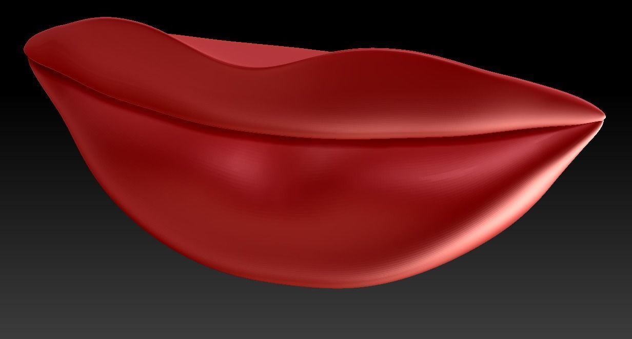 LIPS PUCKER DECOR PLAIN 3D model 3D printable | CGTrader