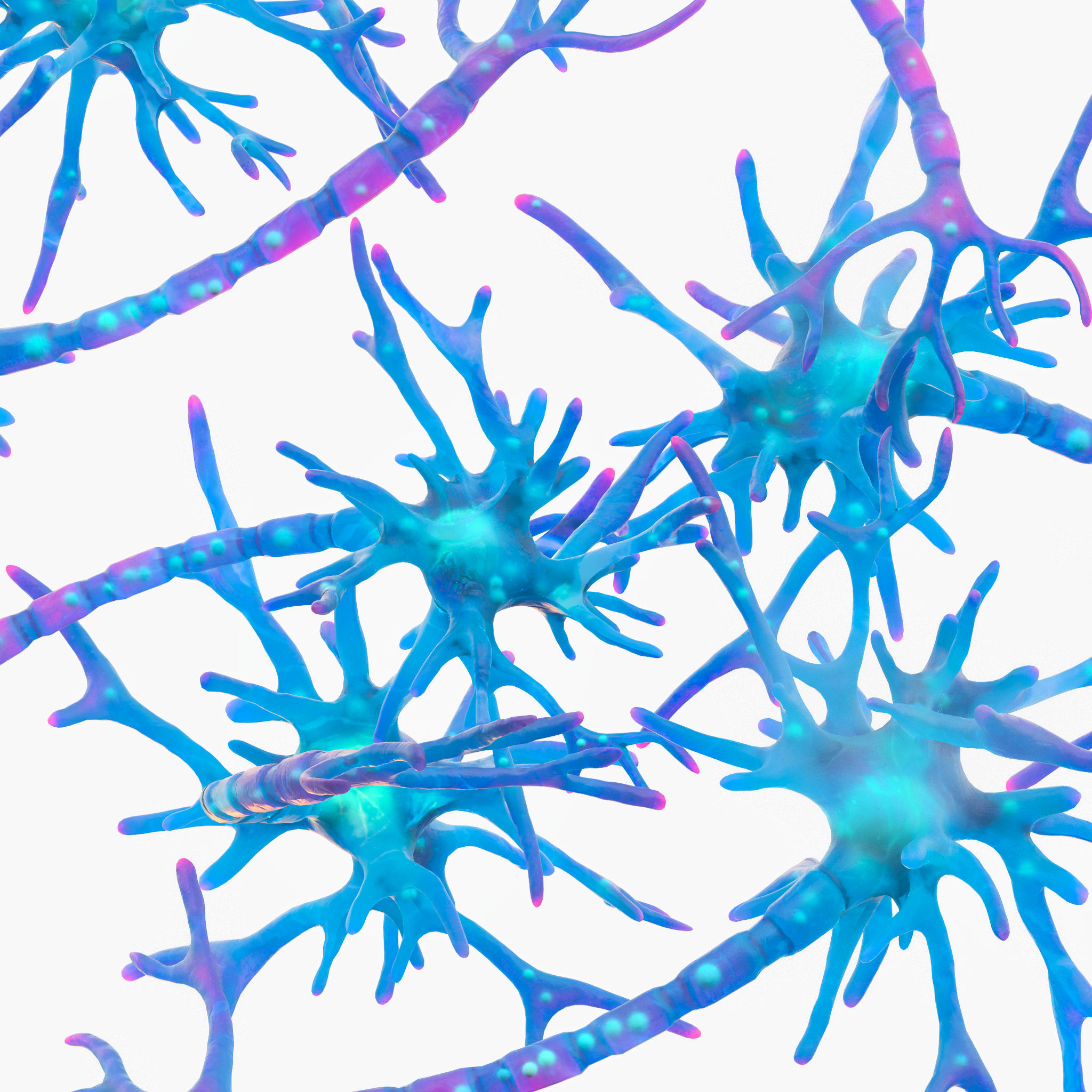 Human Neuron 3D model | CGTrader