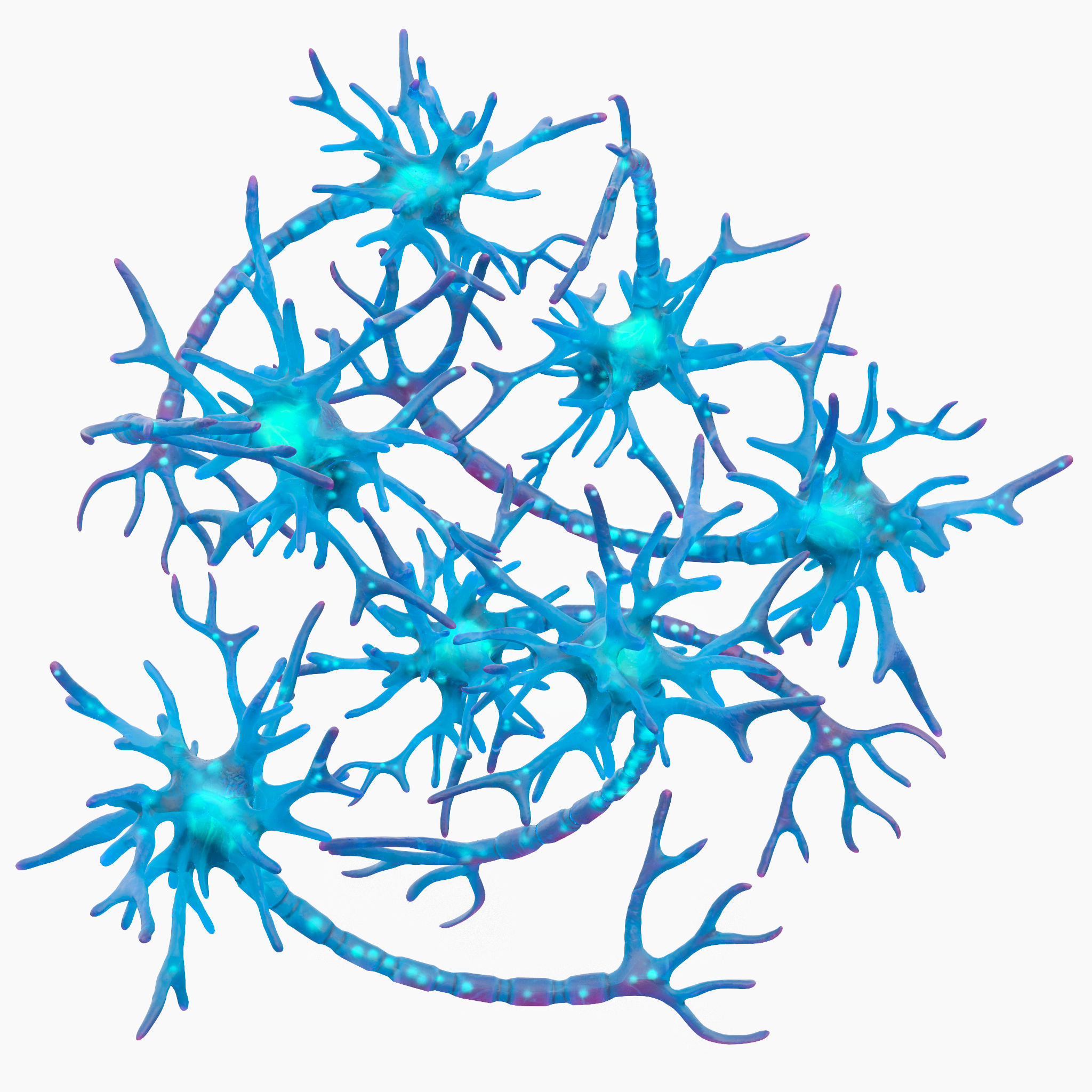 Human Neuron 3D model | CGTrader