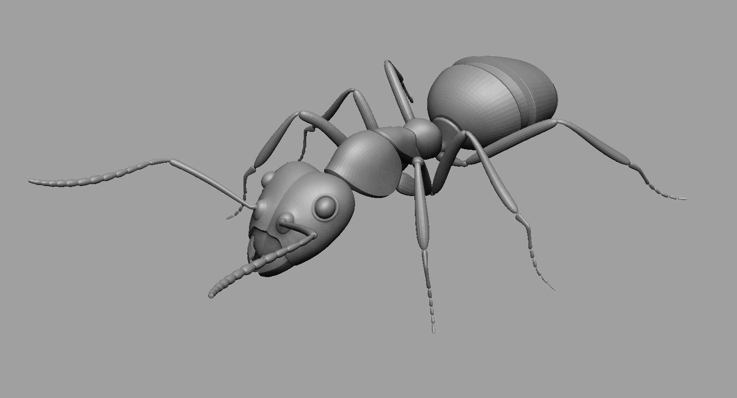 Ant Ant 3D model | CGTrader