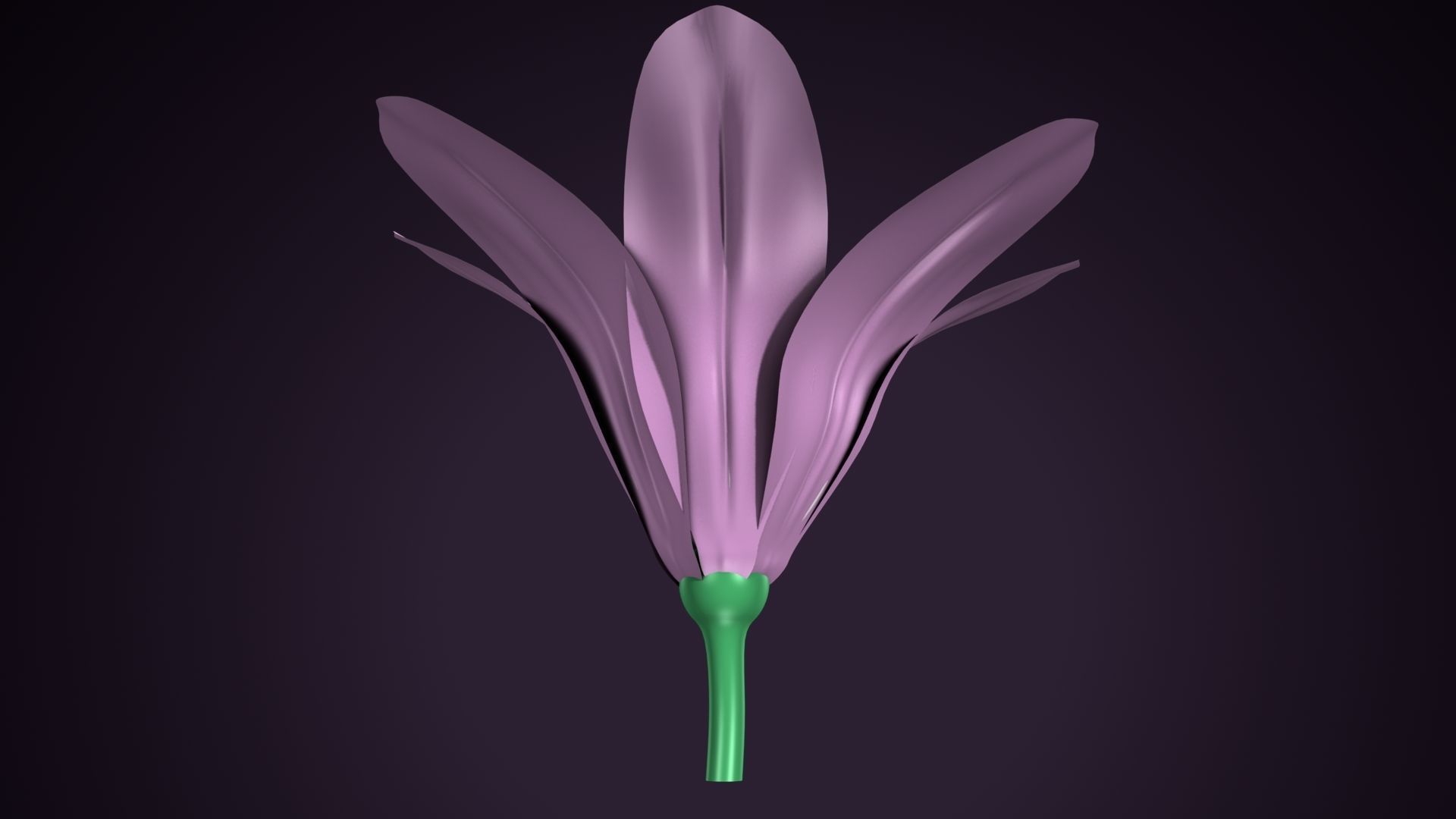 anther flower 3D model | CGTrader