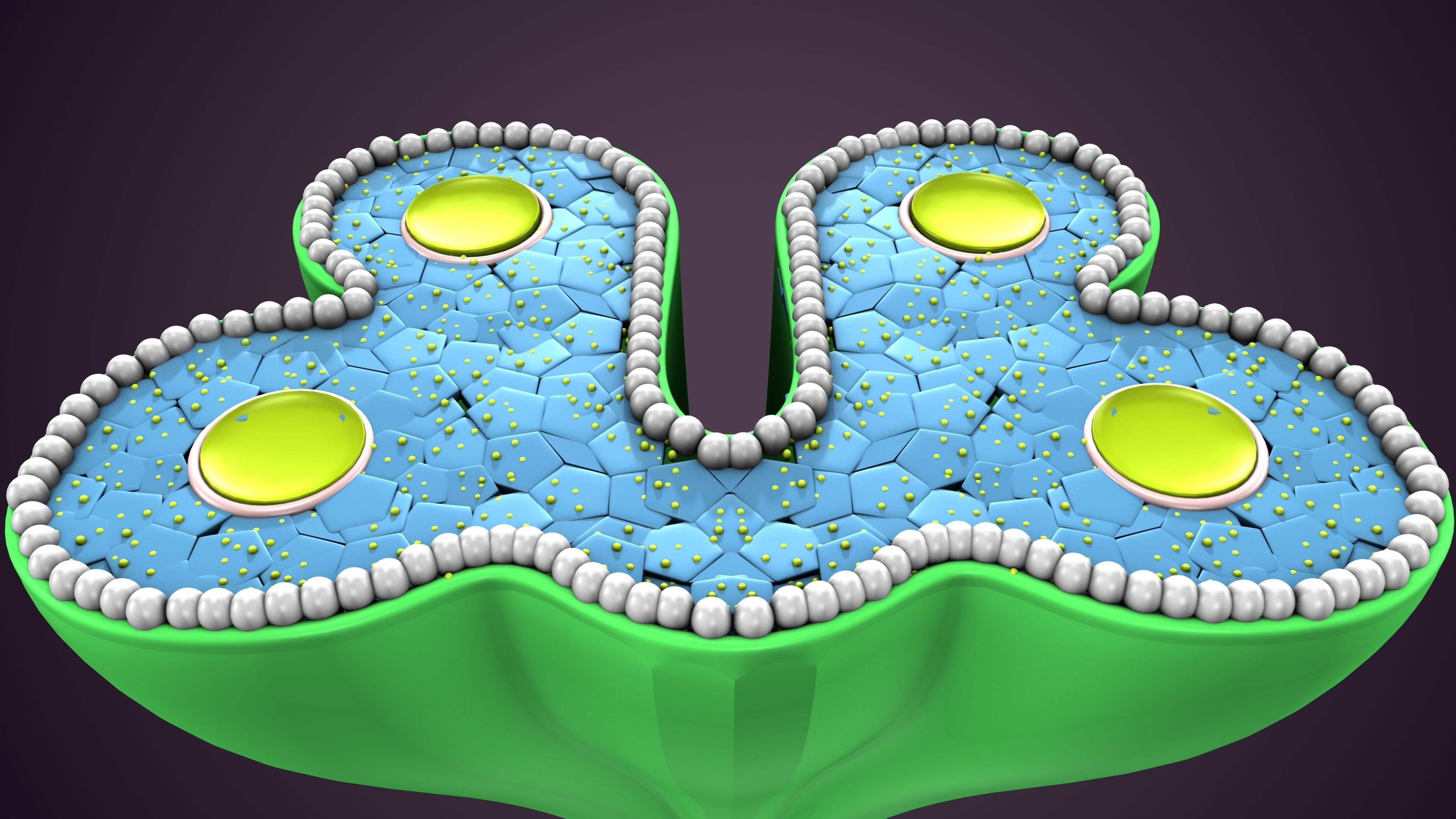 ts anther flower 3D model | CGTrader