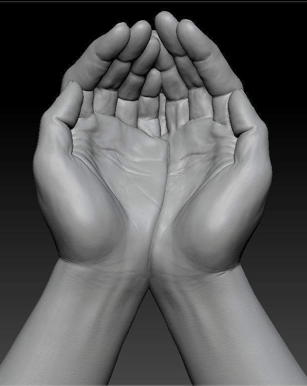 cupped hands 3D model 3D printable | CGTrader