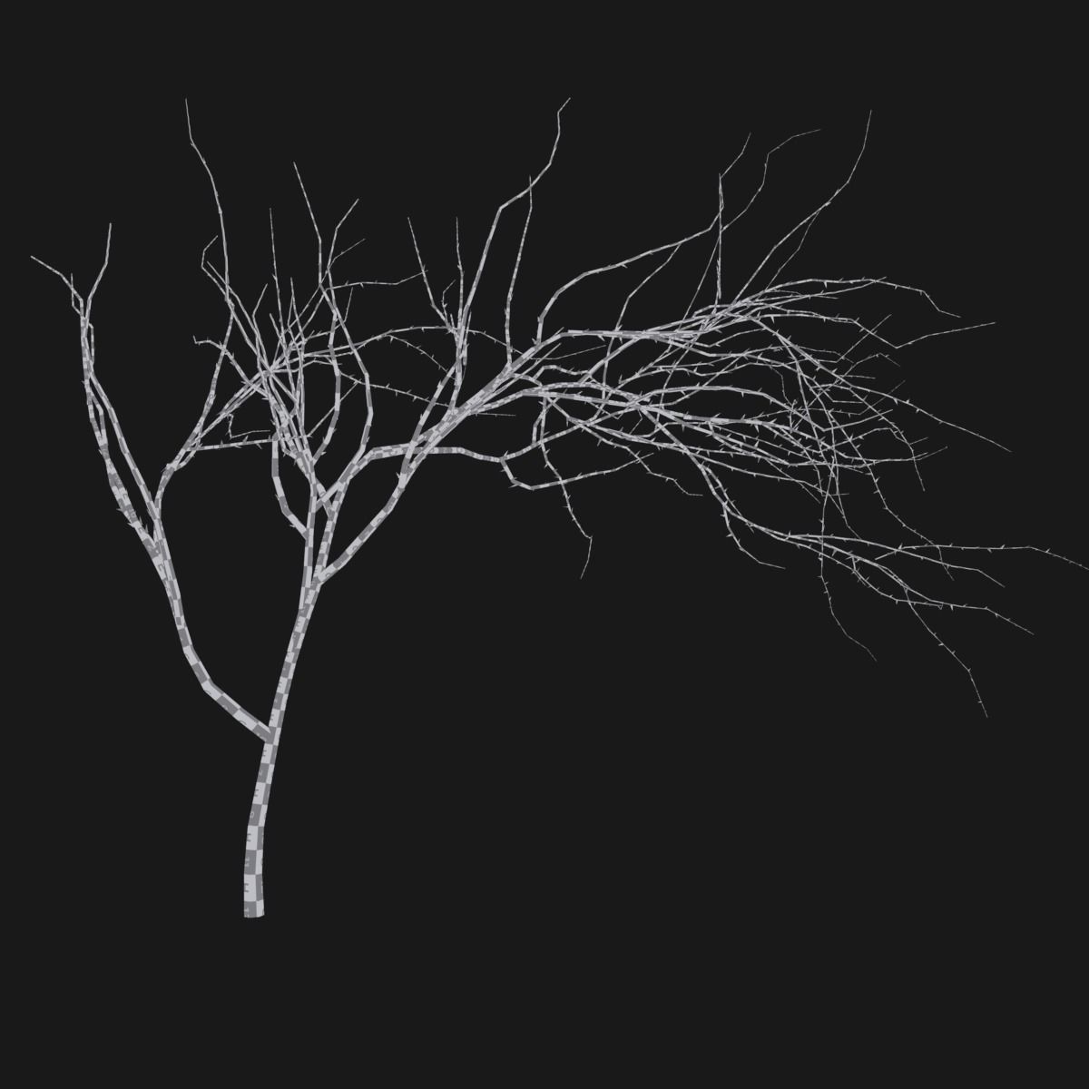 3D model Thin Branch VR / AR / low-poly | CGTrader