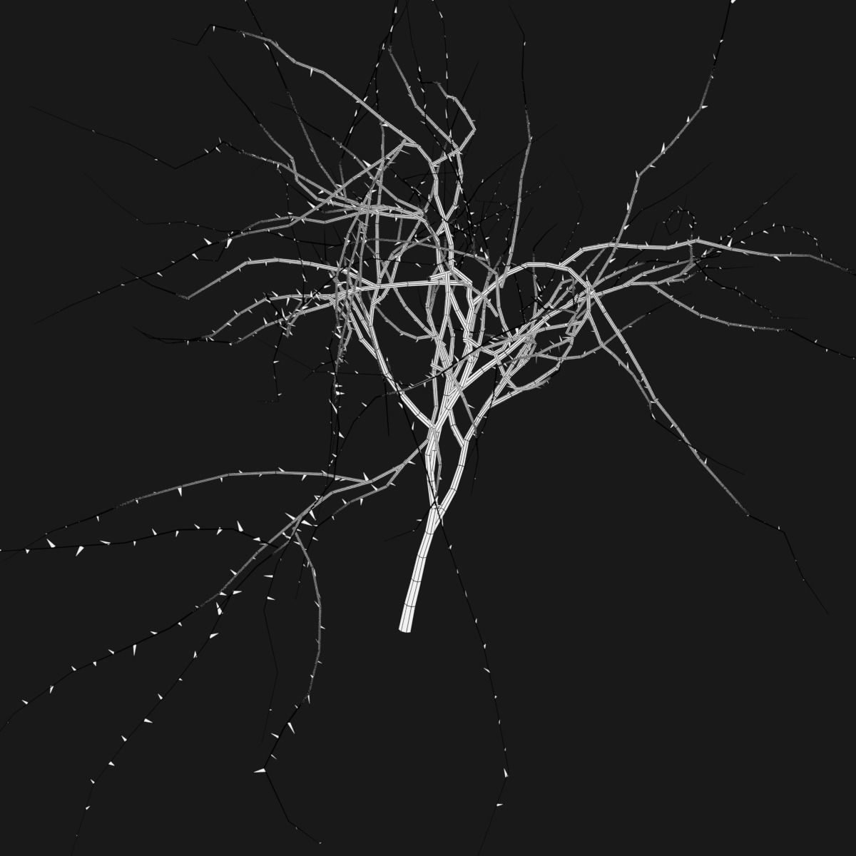 3D model Thin Branch VR / AR / low-poly | CGTrader