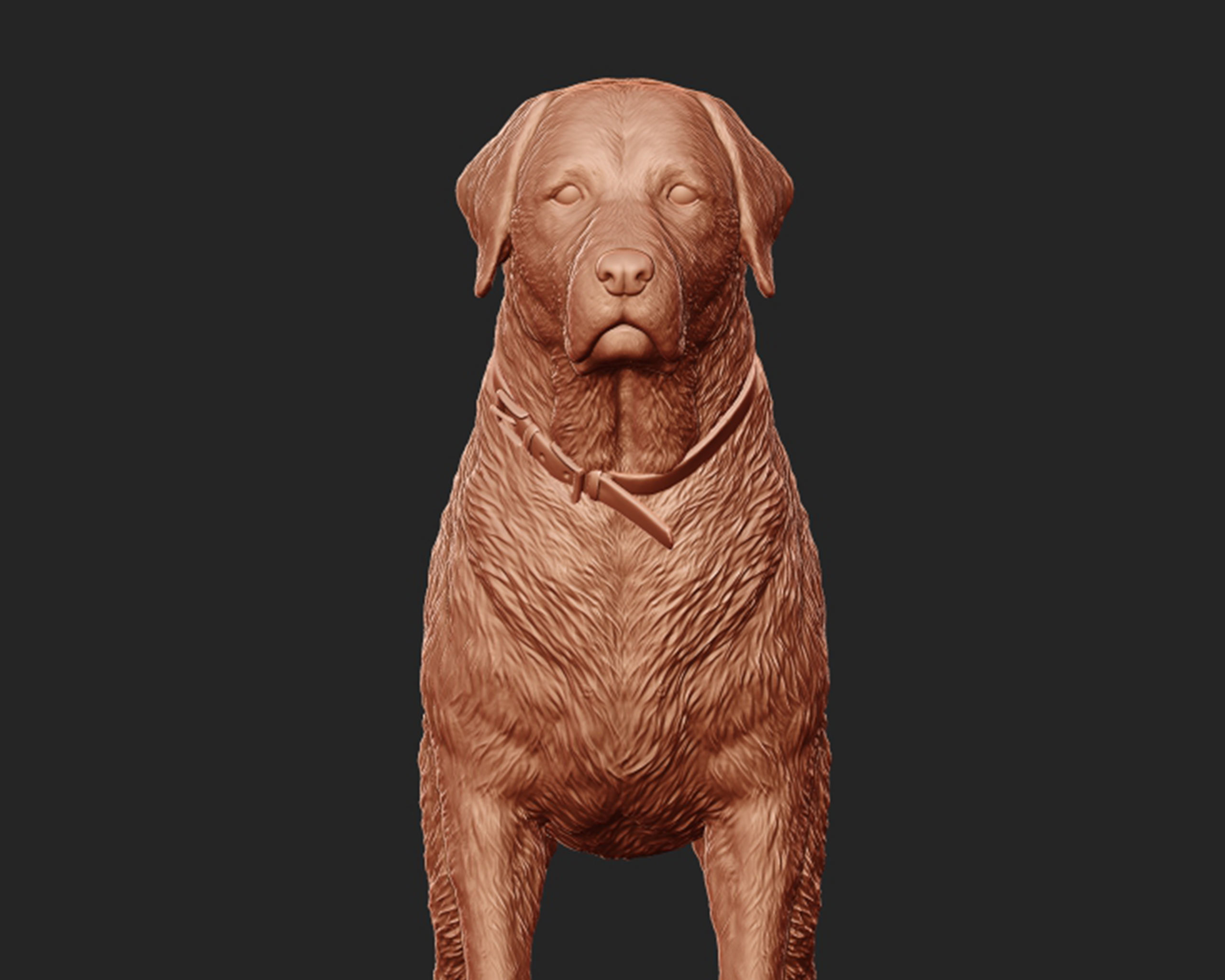 Labrador Retriever model 3D model 3D printable | CGTrader