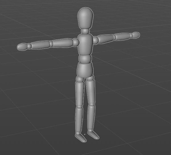 Human 3D model | CGTrader