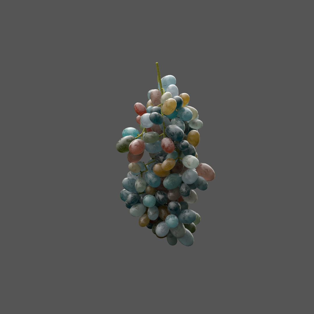 GRUNDFORM - Grape Vines Collection 3D model | CGTrader