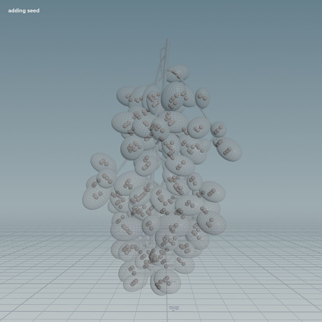 GRUNDFORM - Grape Vines Collection 3D model | CGTrader