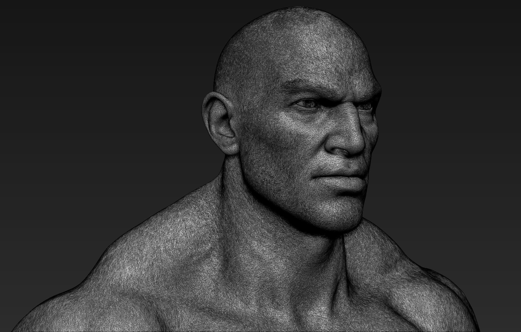 Alpha Male 3D model | CGTrader