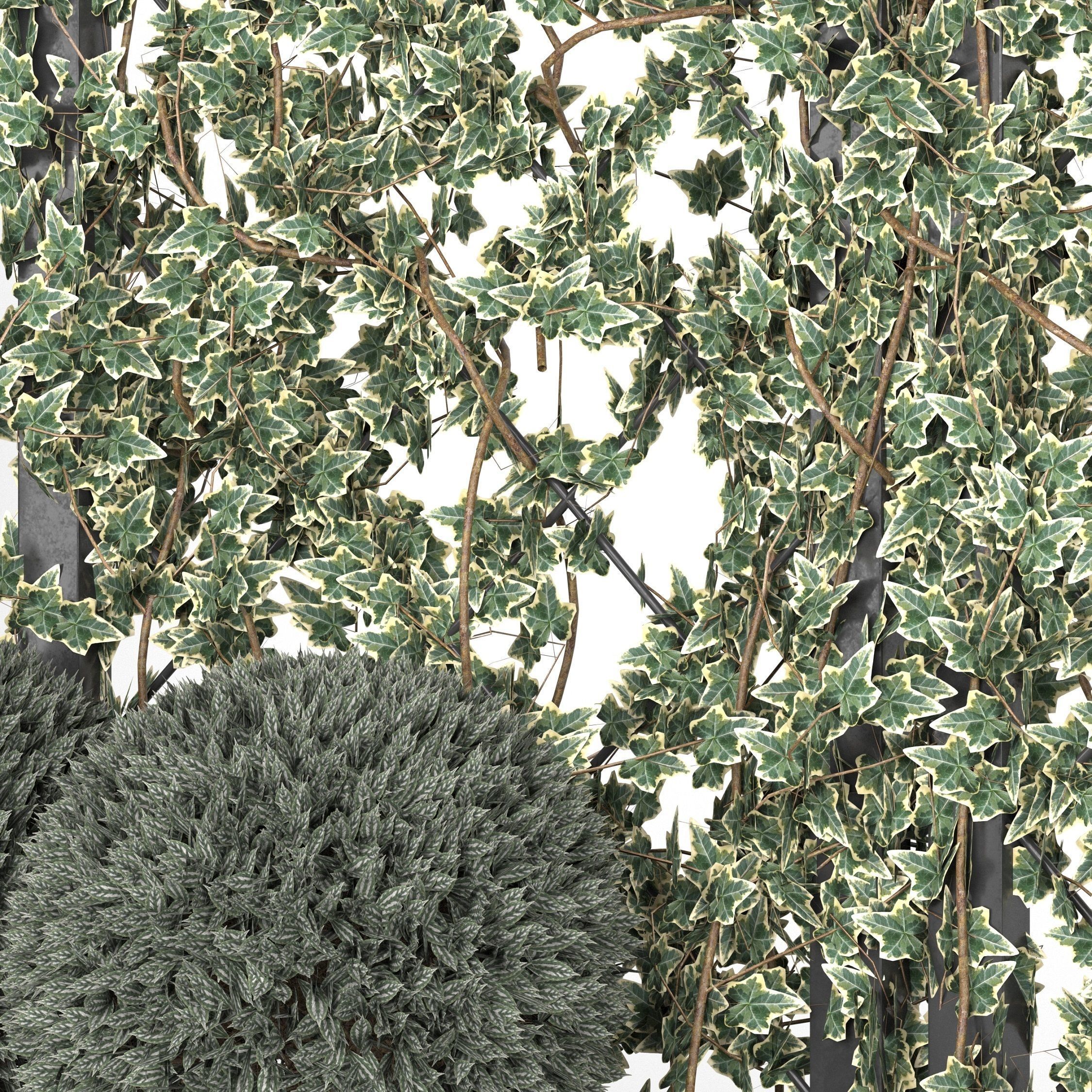 Ivy Grid With Seating Space 3D model | CGTrader