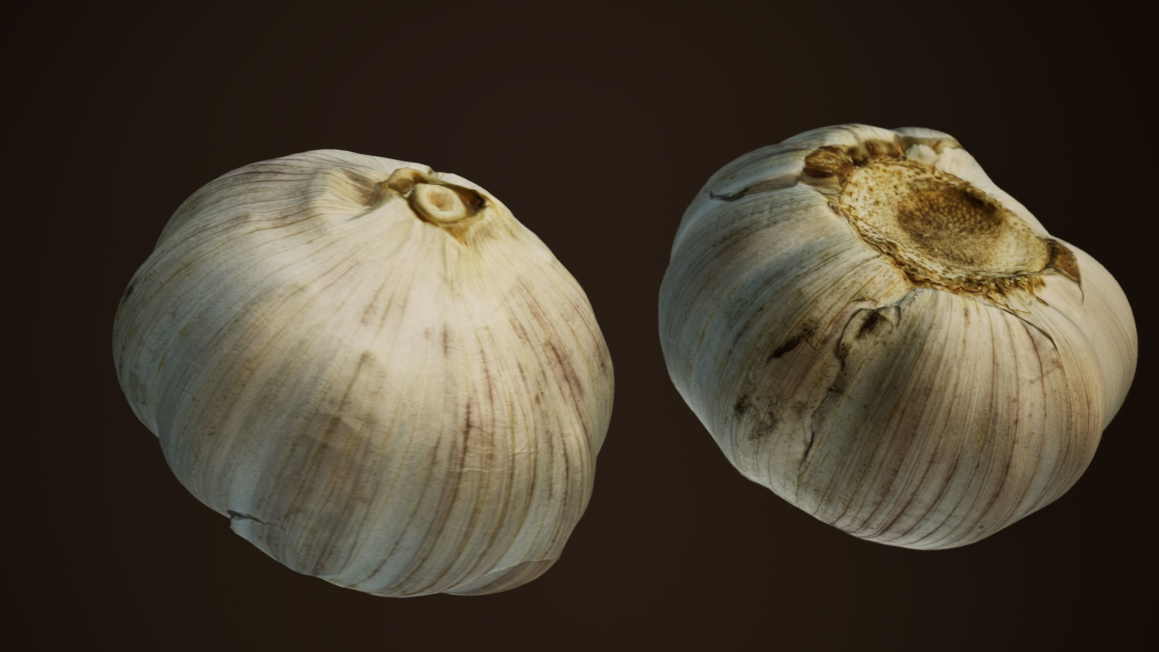 3D model Photogrammetry - Garlic - 4K VR / AR / low-poly | CGTrader