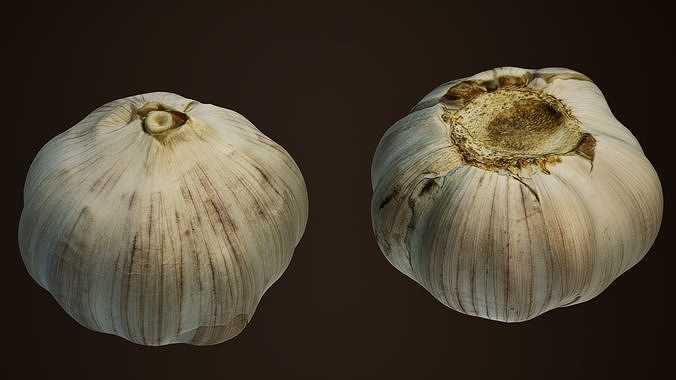 3D model Photogrammetry - Garlic - 4K VR / AR / low-poly | CGTrader