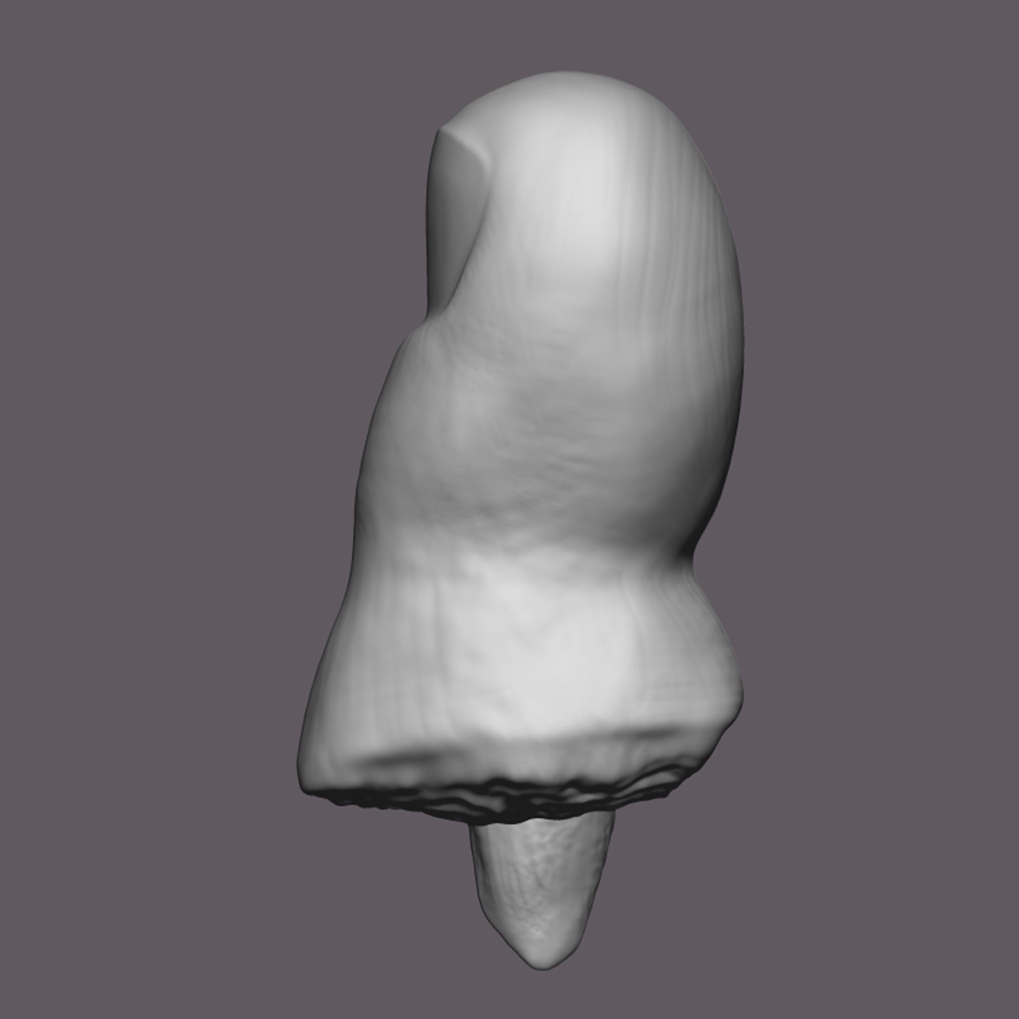 Severed Toe 3D Print Model 3D model 3D printable | CGTrader