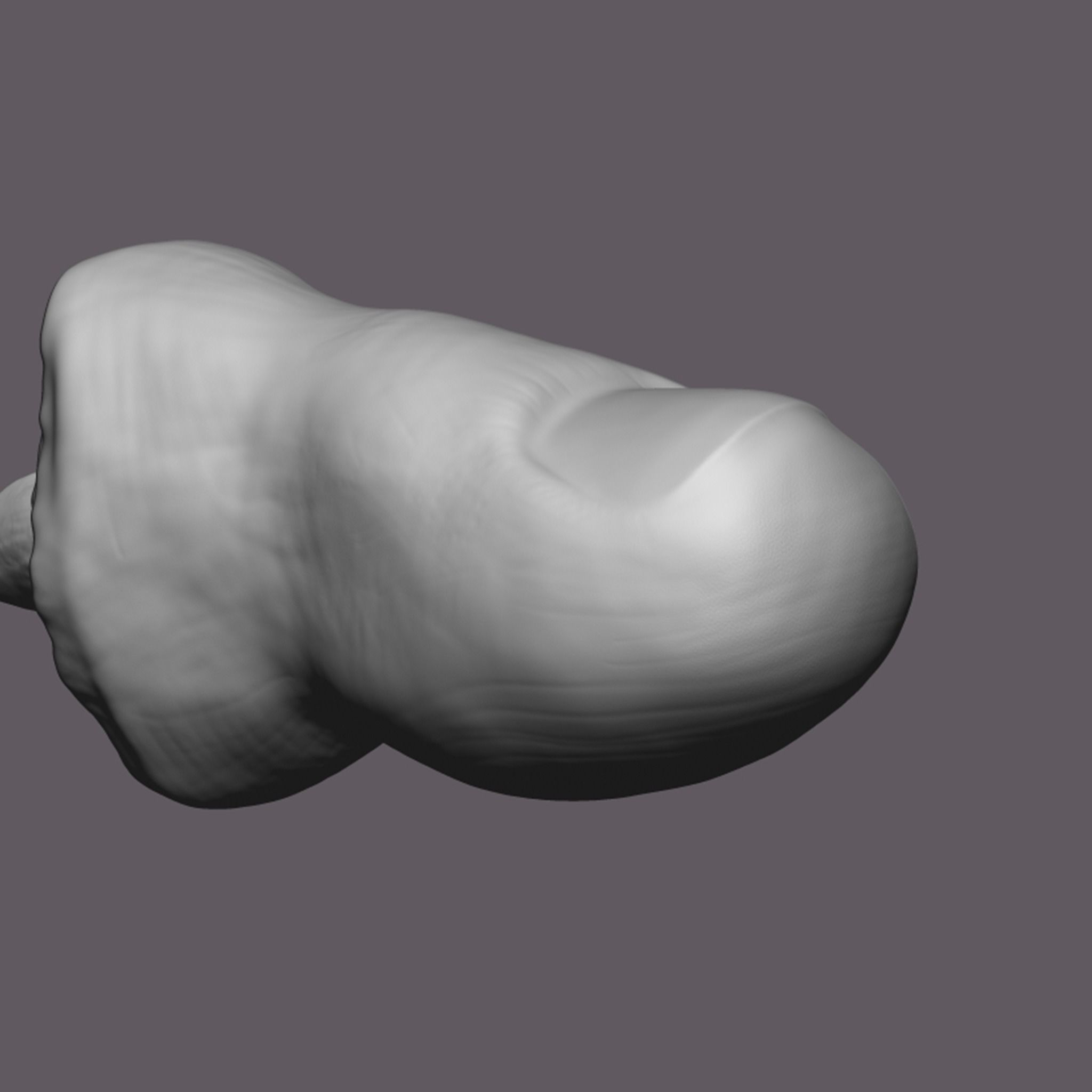 Severed Toe 3D Print Model 3D model 3D printable | CGTrader