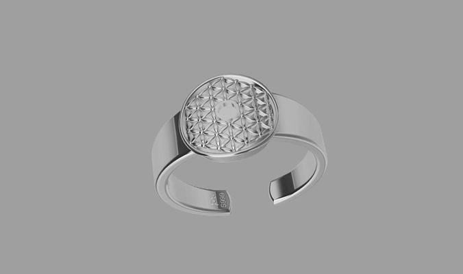 the ring of Sacred Geometry free 3D model 3D printable | CGTrader