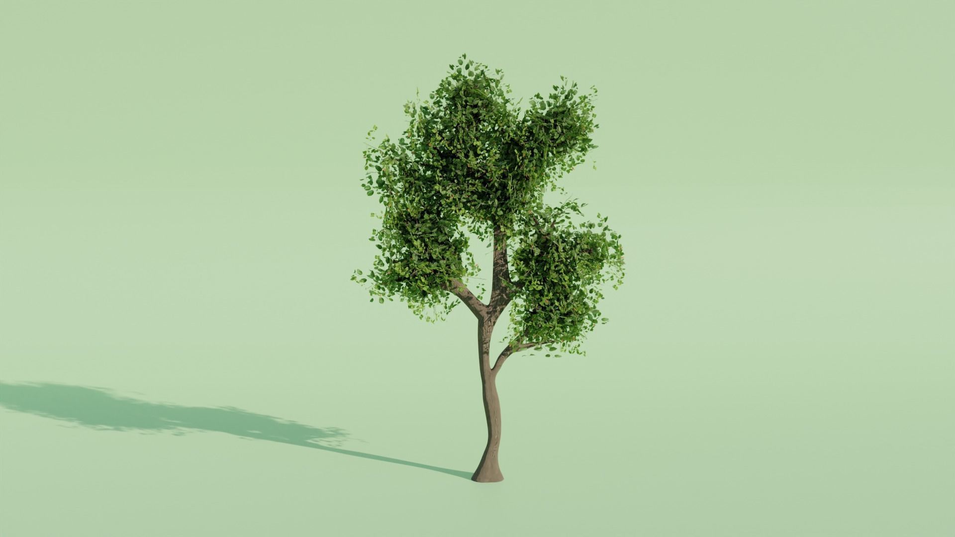 Tree Model free VR / AR / low-poly 3D model | CGTrader