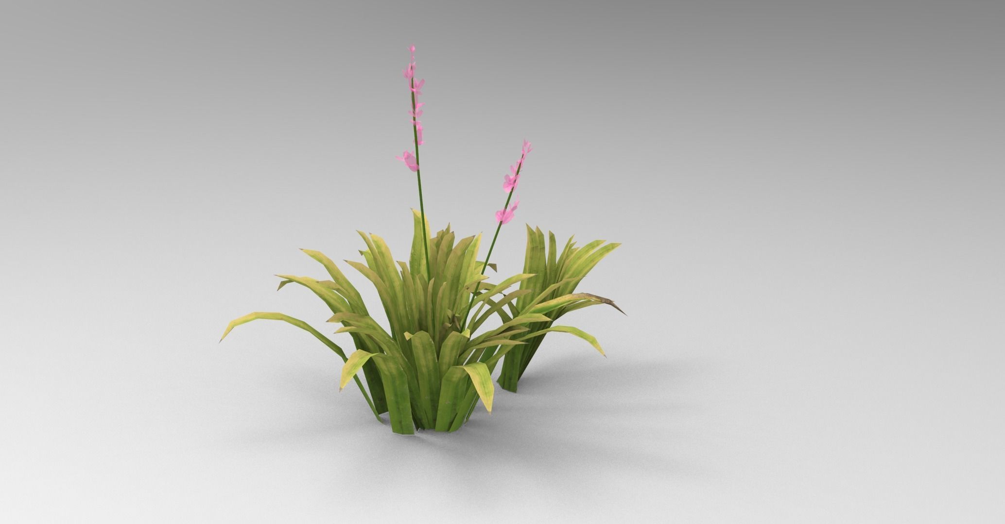 Grass free VR / AR / low-poly 3D model | CGTrader
