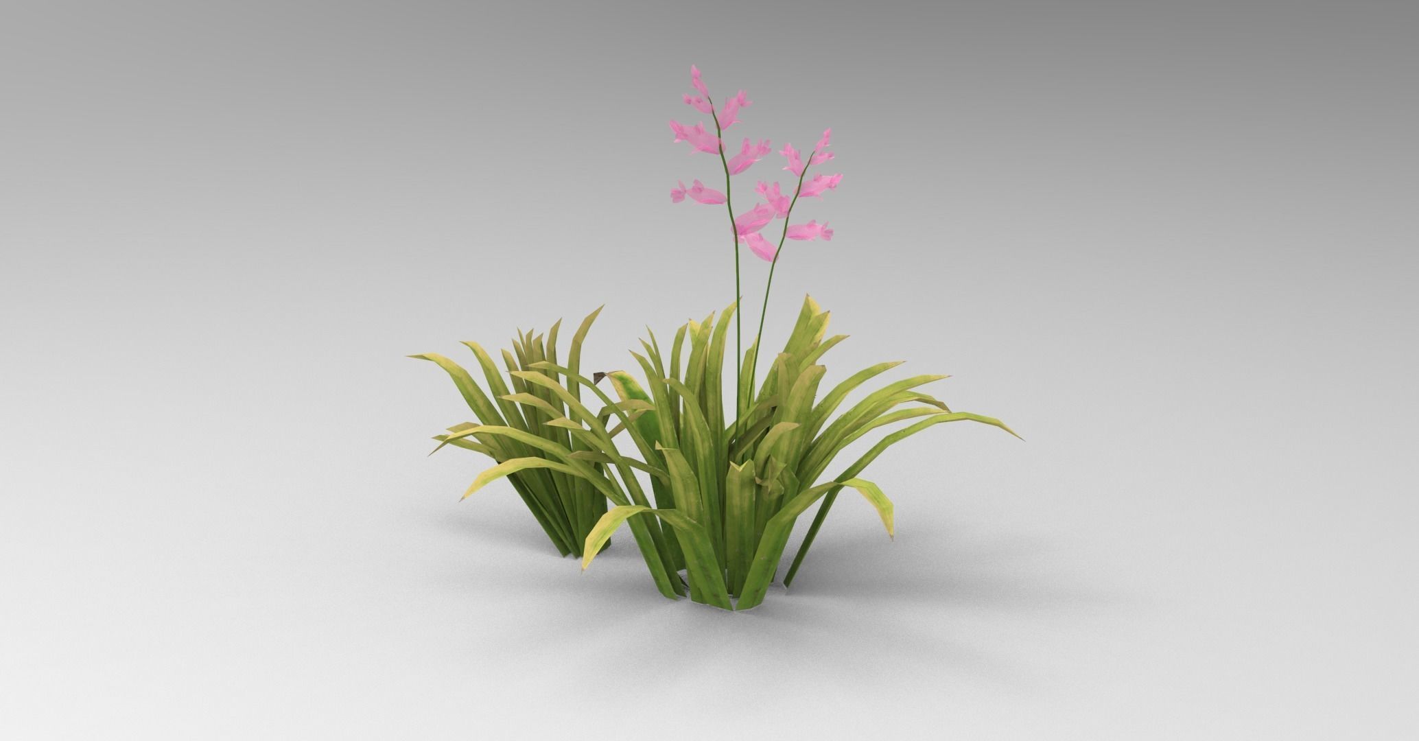Grass free VR / AR / low-poly 3D model | CGTrader
