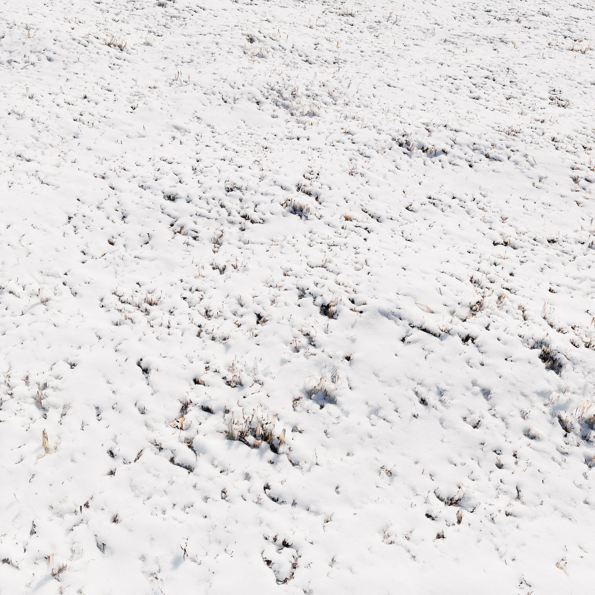 Ultra realistic Snow ground 3 2021 Hq Scan 3D model 3D model | CGTrader