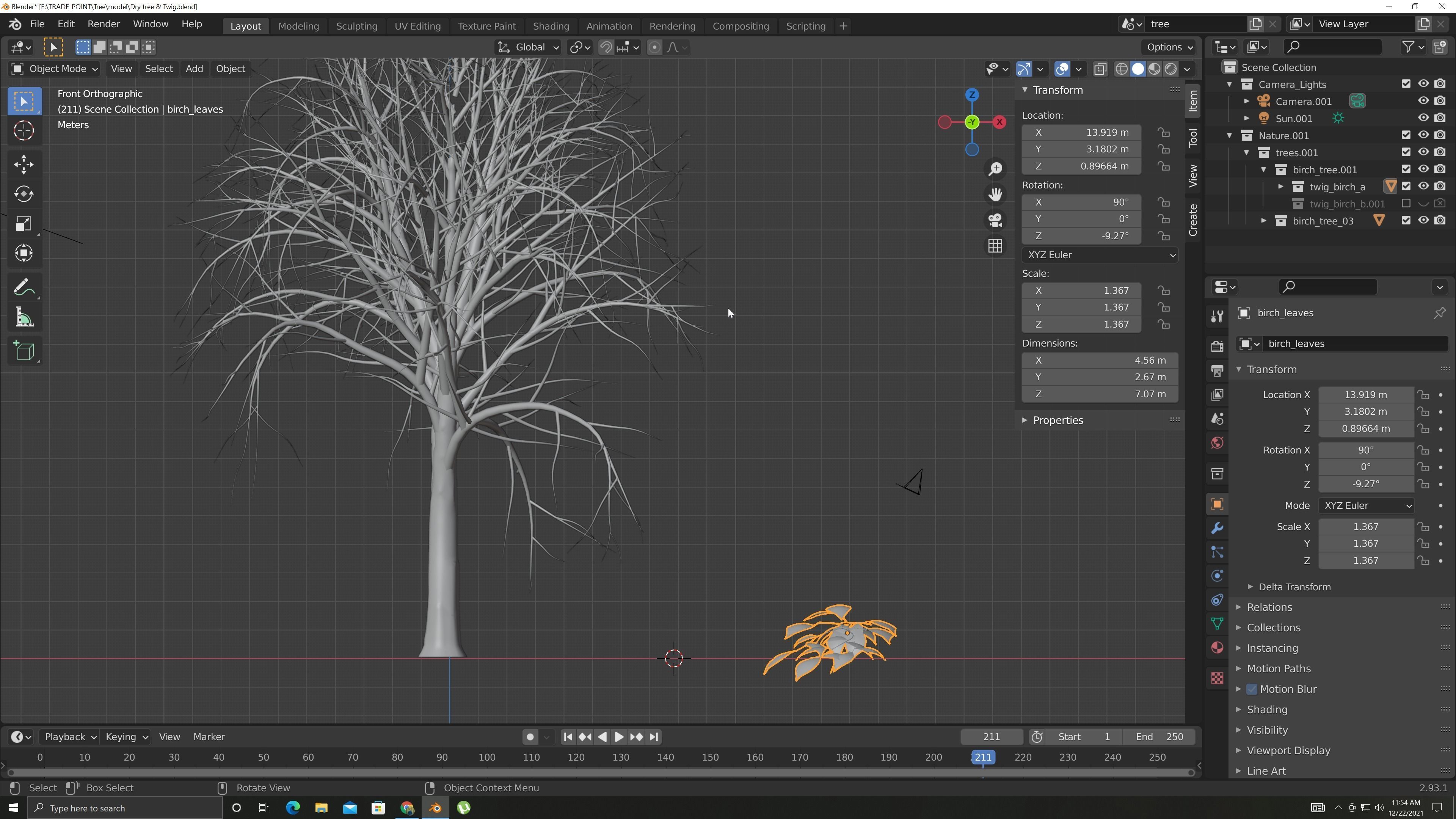 Tree and Twig 3D model animated rigged | CGTrader