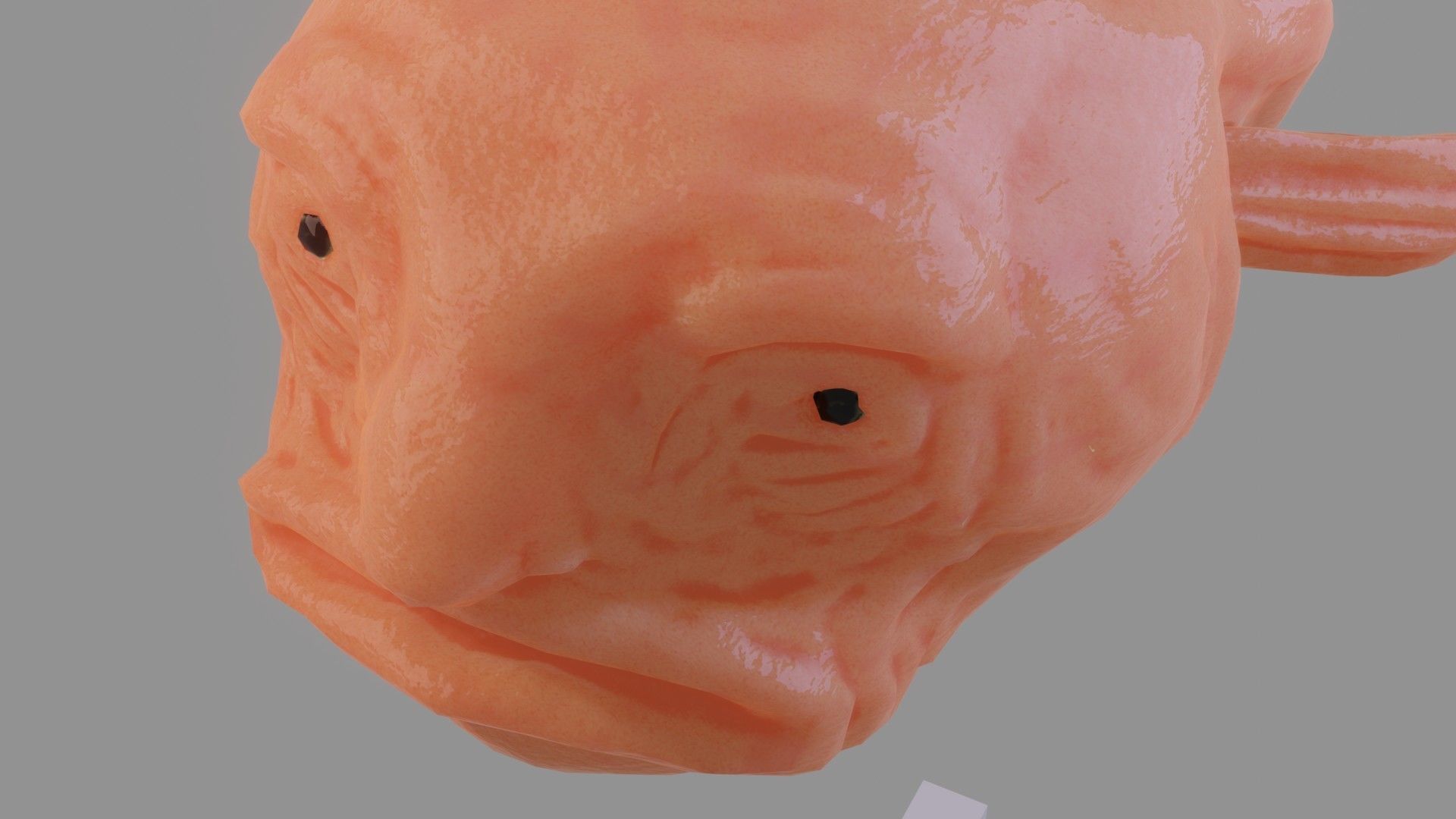 3D model Fish drop stylized pbr VR / AR / low-poly | CGTrader