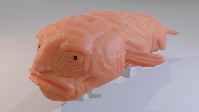 3D model Fish drop stylized pbr VR / AR / low-poly | CGTrader