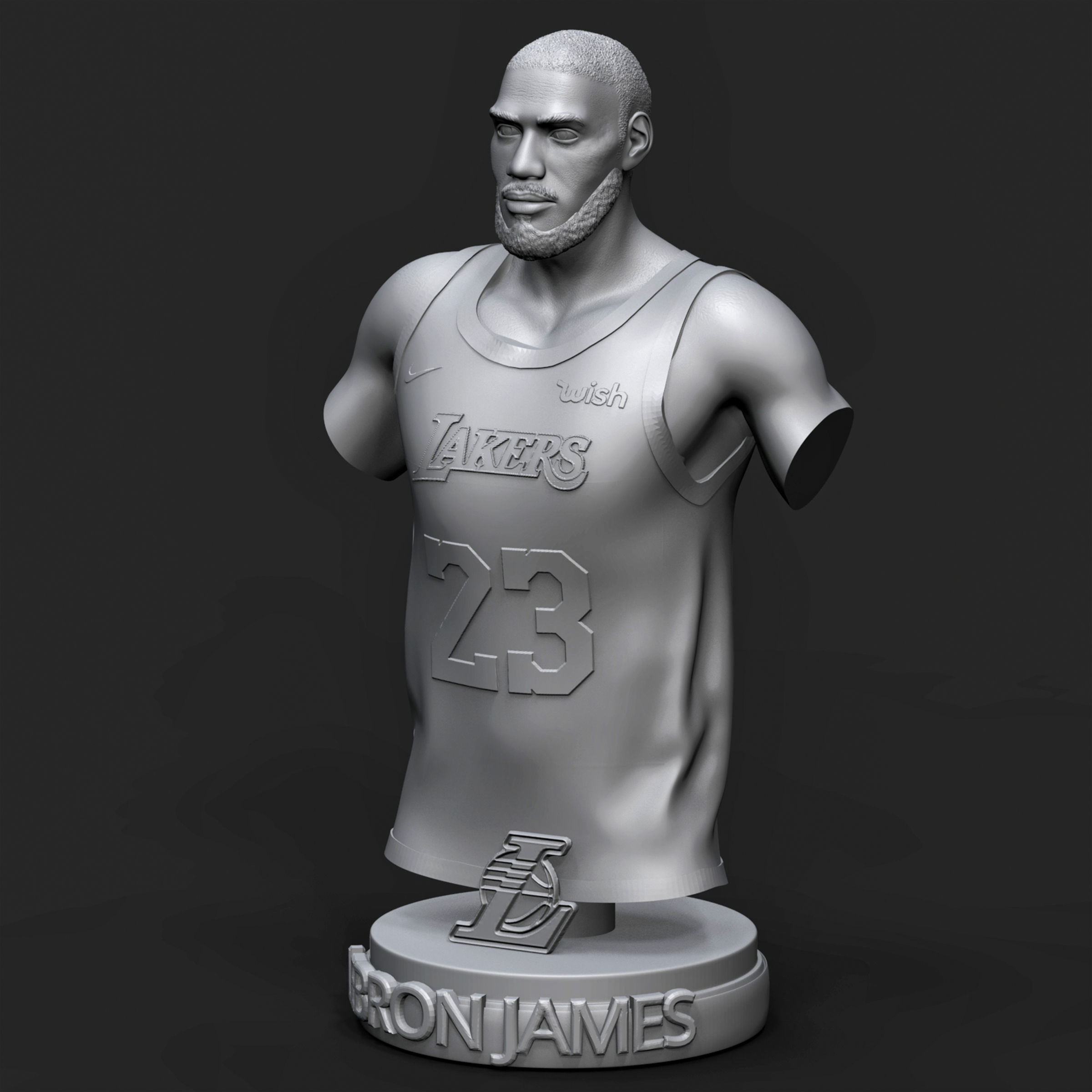 LeBron James 3D Printable 1 3D model 3D printable | CGTrader