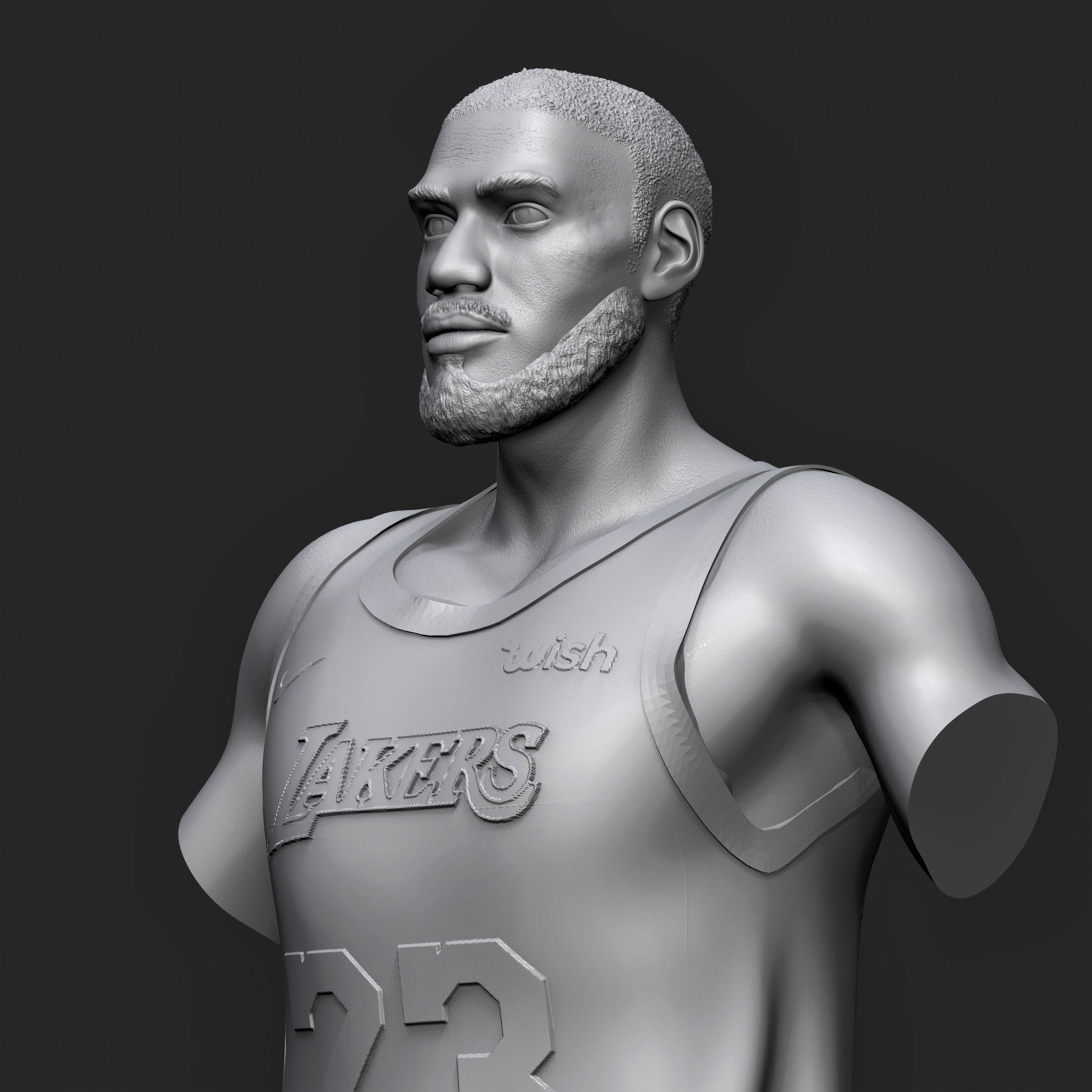LeBron James 3D Printable 1 3D model 3D printable | CGTrader