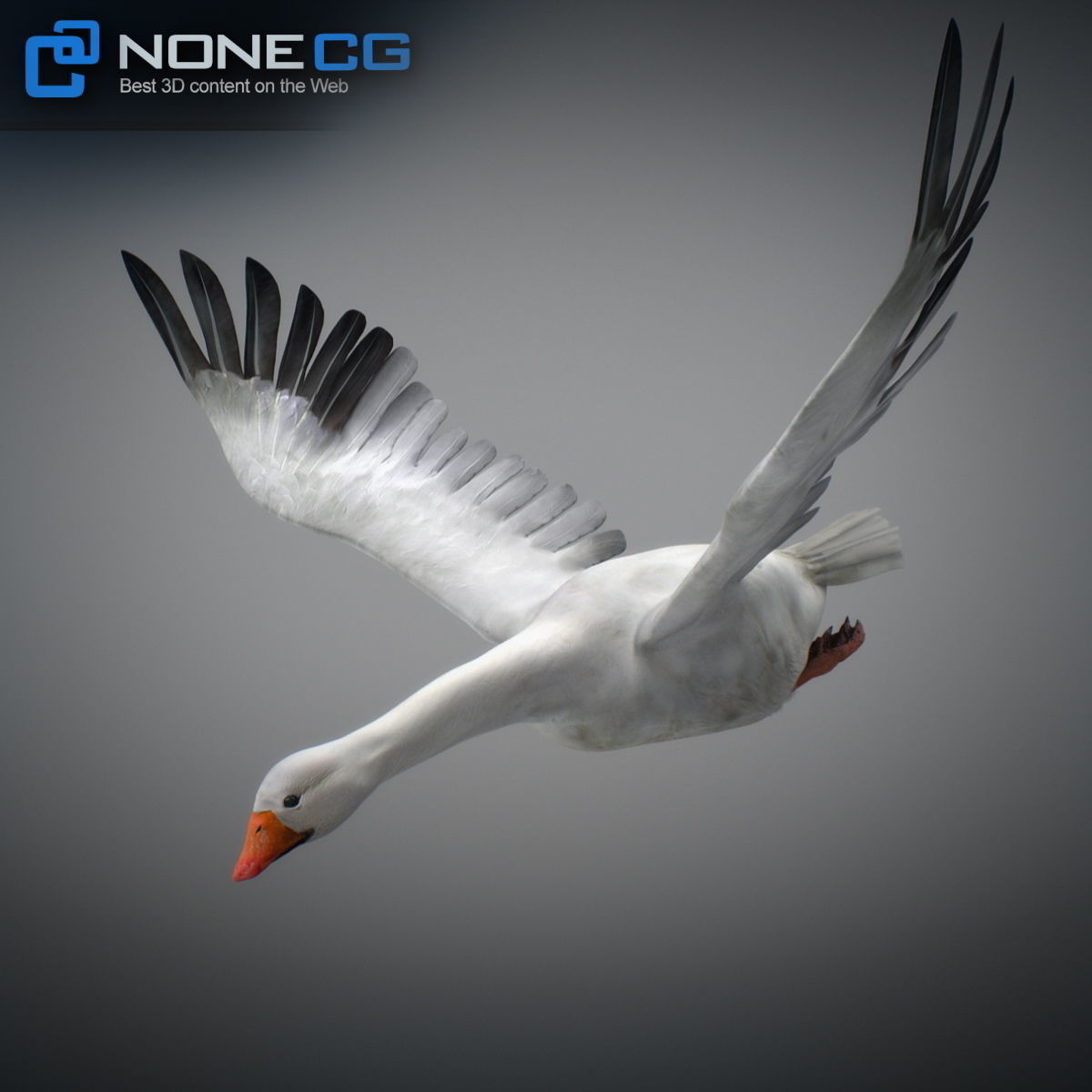Animated Geese 3D model animated rigged | CGTrader