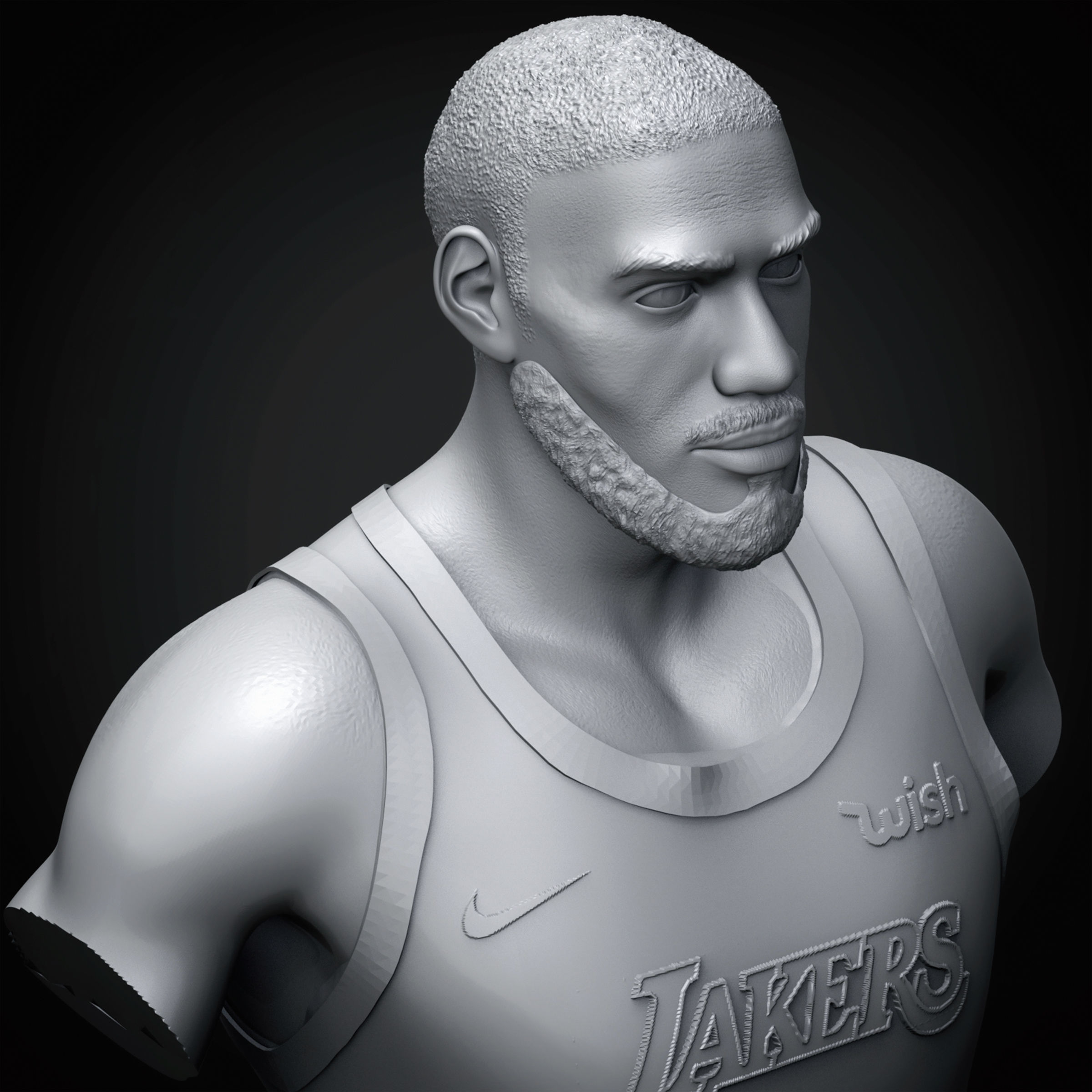 LeBron James 3D Printable 3 3D model 3D printable | CGTrader