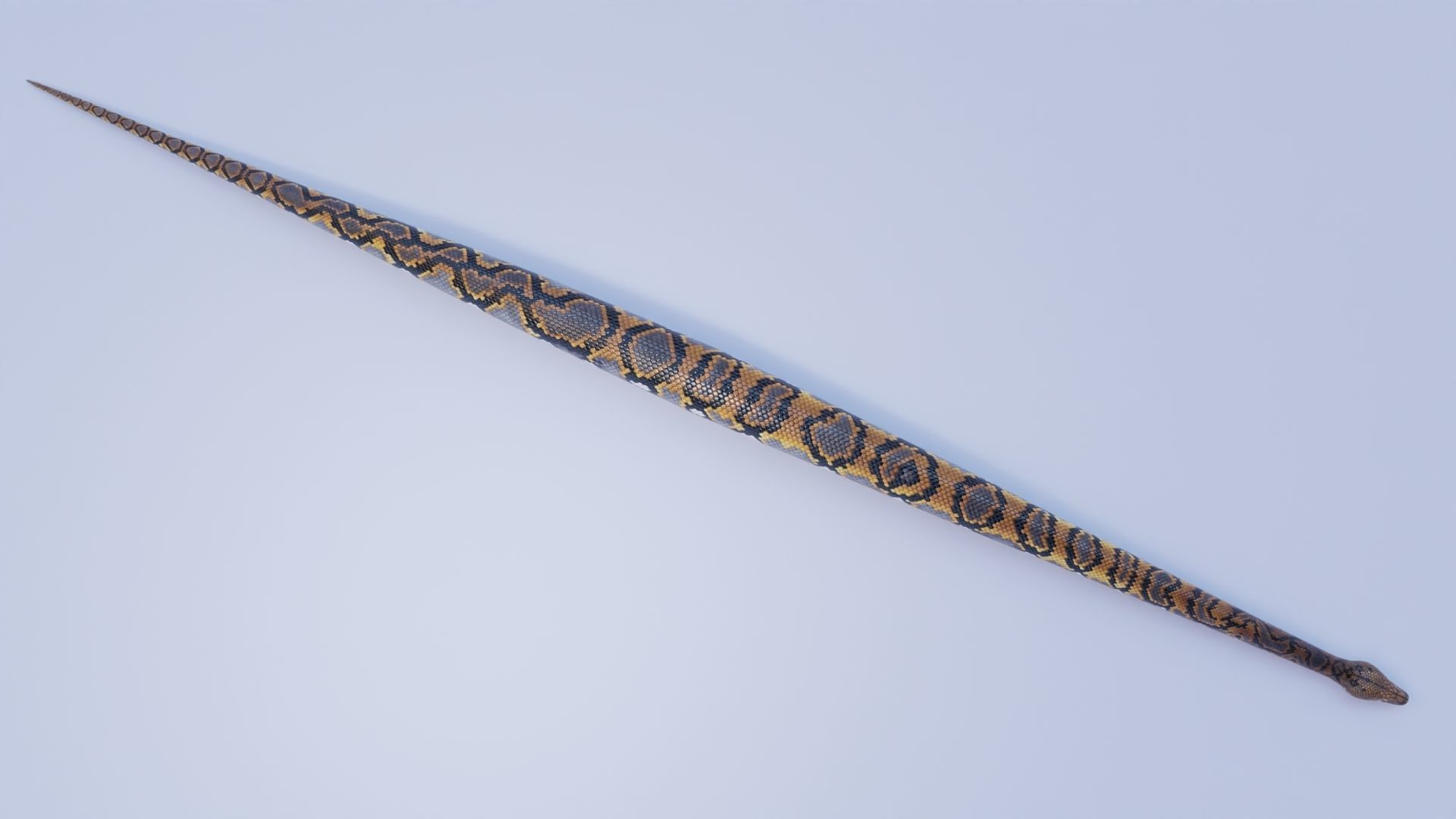 3D model Reticulated Python - Animated VR / AR / low-poly | CGTrader